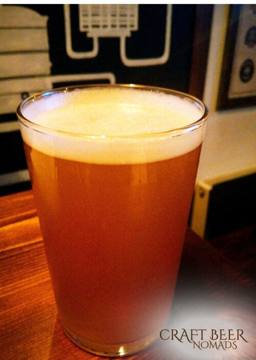 Summer Citra IPA - Craft Beer Nomads
