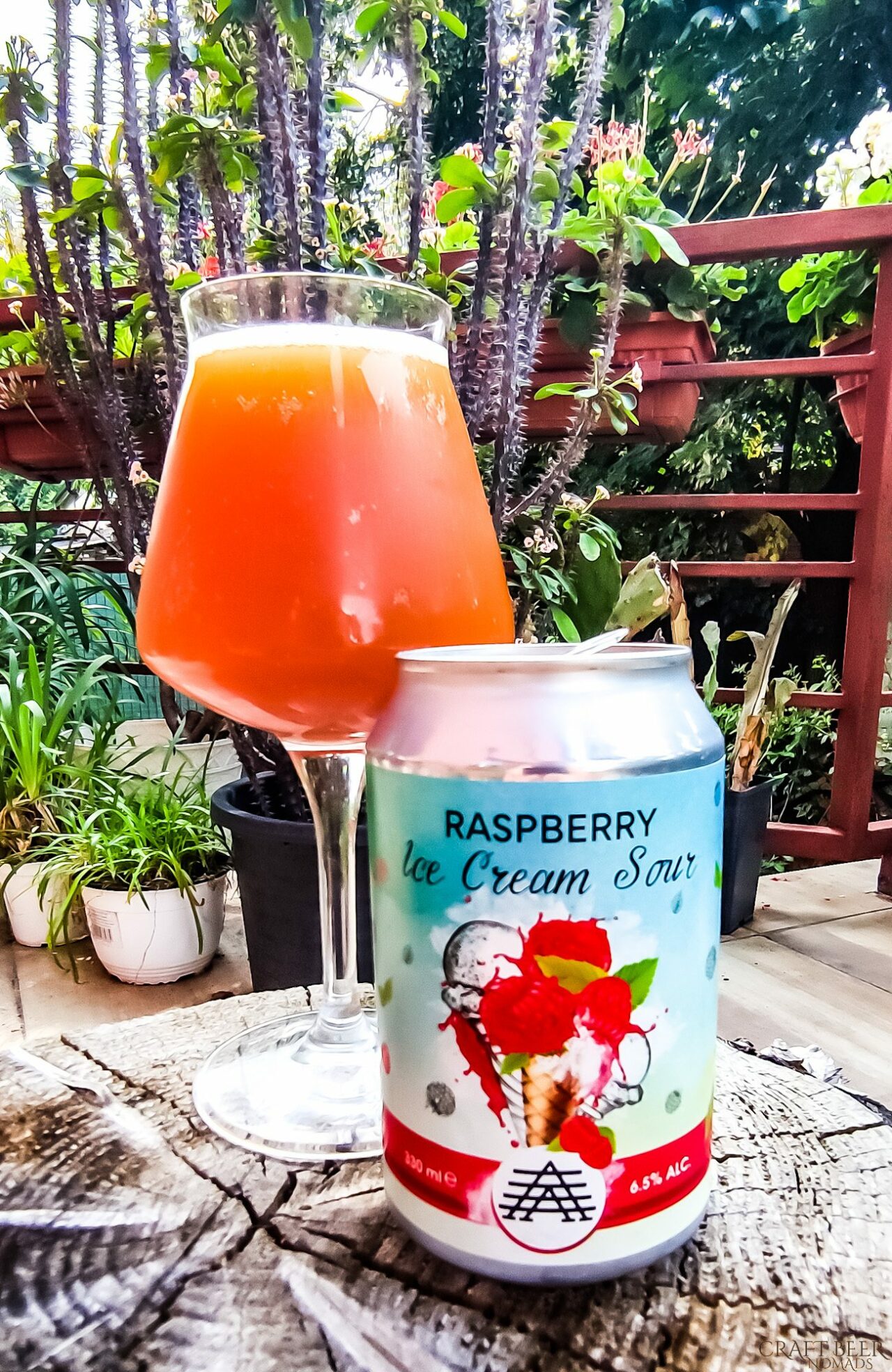 Raspberry Ice Cream Sour - Craft Beer Nomads