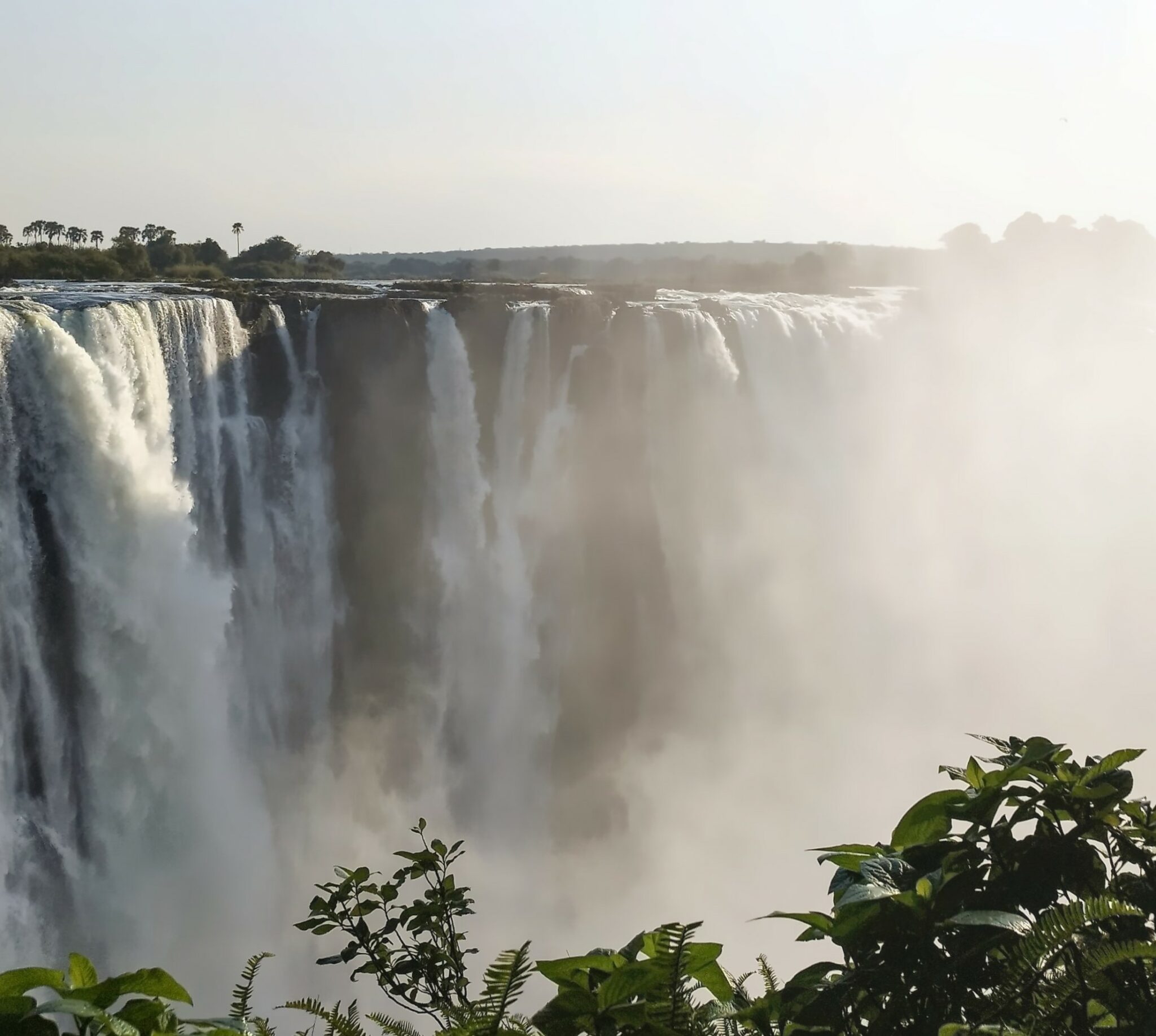 Craft beer in Zimbabwe: The River Brewing Co