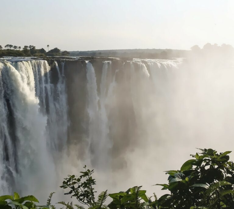 Craft beer in Zimbabwe: The River Brewing Co