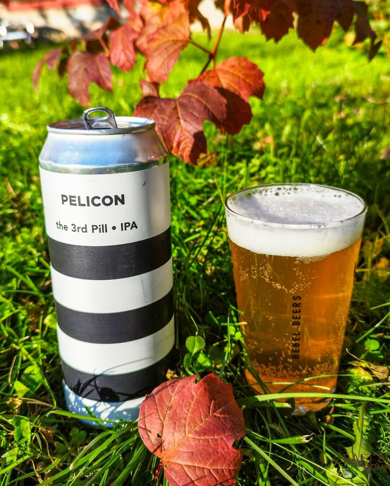 The 3rd Pill - Craft Beer Nomads